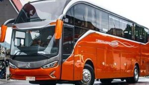 Buat yang Penasaran, Ini Ragam Jenis dan Harga 1 Unit Bus
