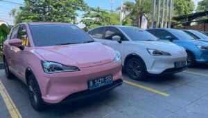 Kenali Garansi Seumur Hidup Mobil Listrik Wuling dan Neta